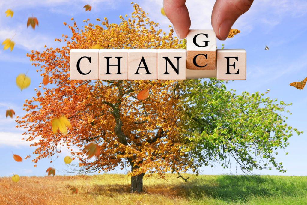 LA ROUE DU CHANGEMENT POUR COMPRENDRE LES CYCLES DE VIE - AND Coaching